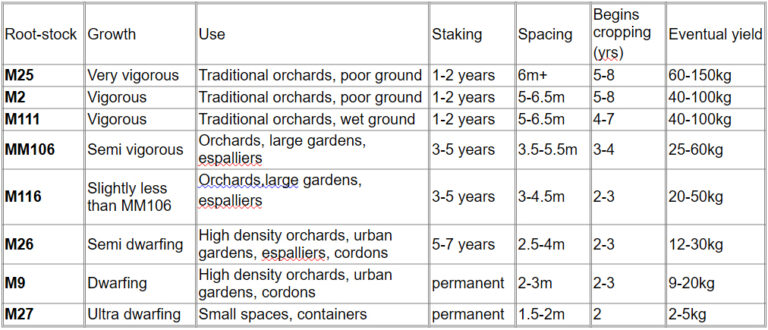 Fruit Tree Rootstocks | Grown In The UK