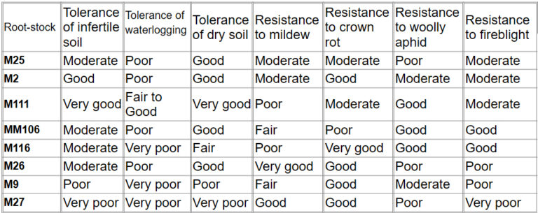 Fruit Tree Rootstocks | Grown In The UK