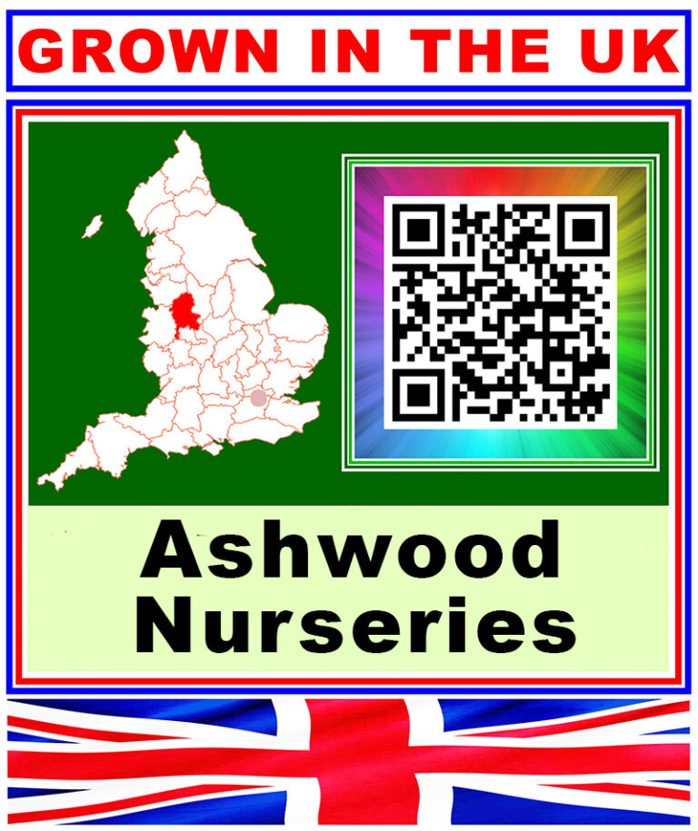 Ashwood Nurseries | Grown In The UK